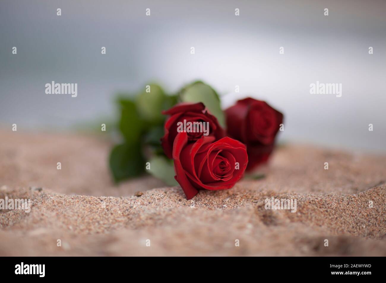 background for romantic postcard for St Valentine Stock Photo - Alamy