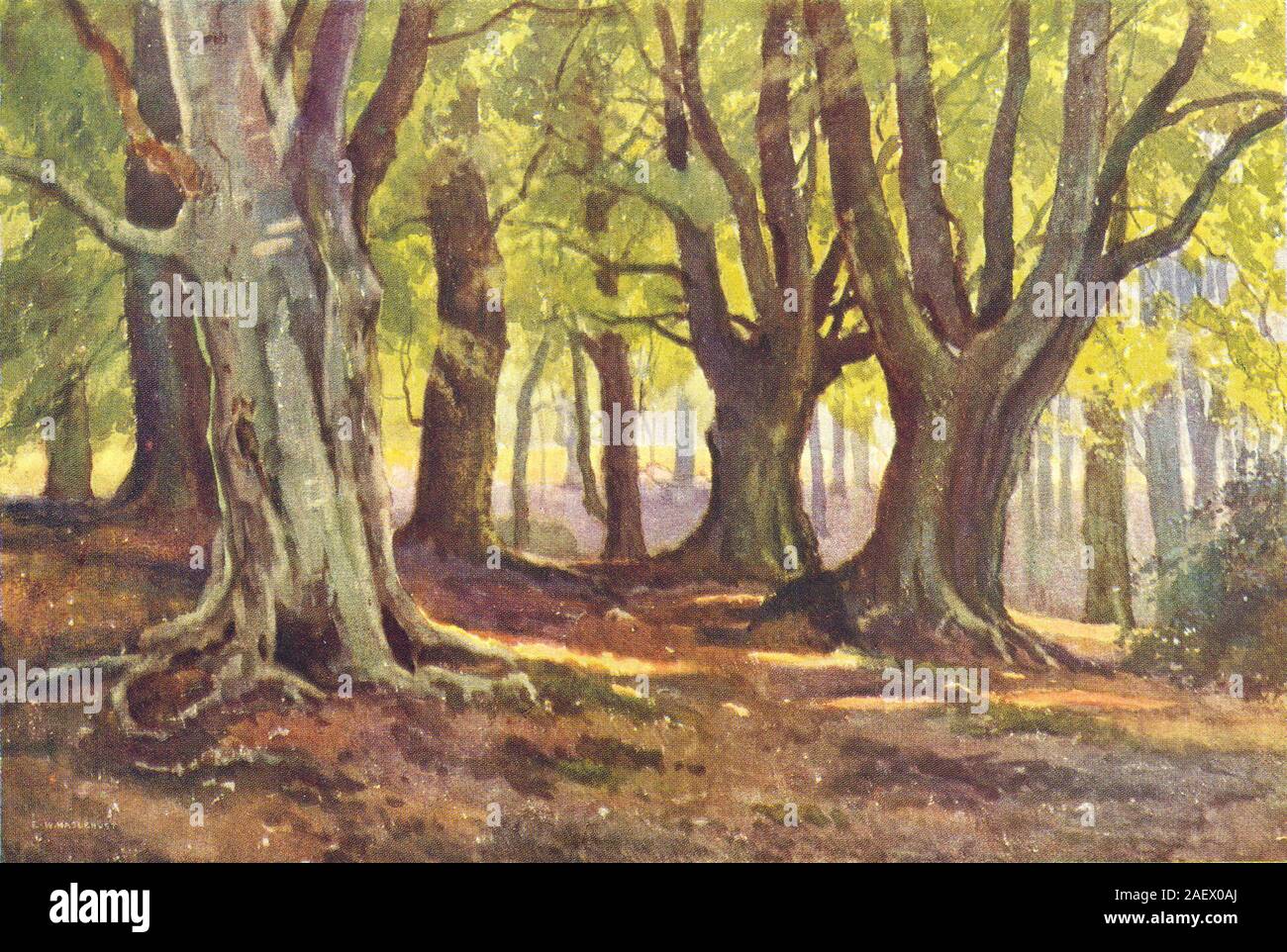 William beech hi-res stock photography and images - Alamy