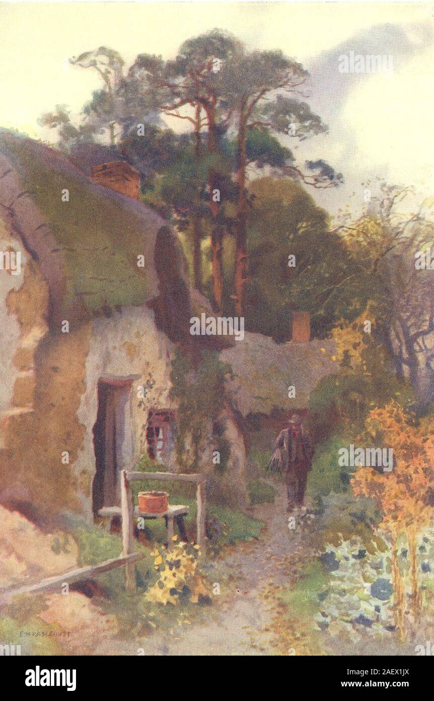 Squatter's Cottage, the New Forest. Hampshire. By Ernest Haslehust 1920 ...