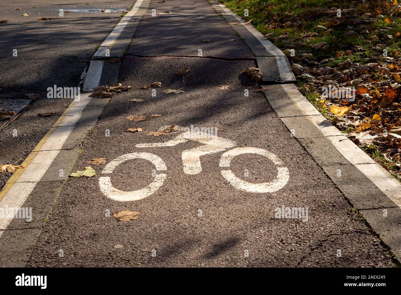 Cracked failing surface of damaged asphalt cycle path as poor quality ...