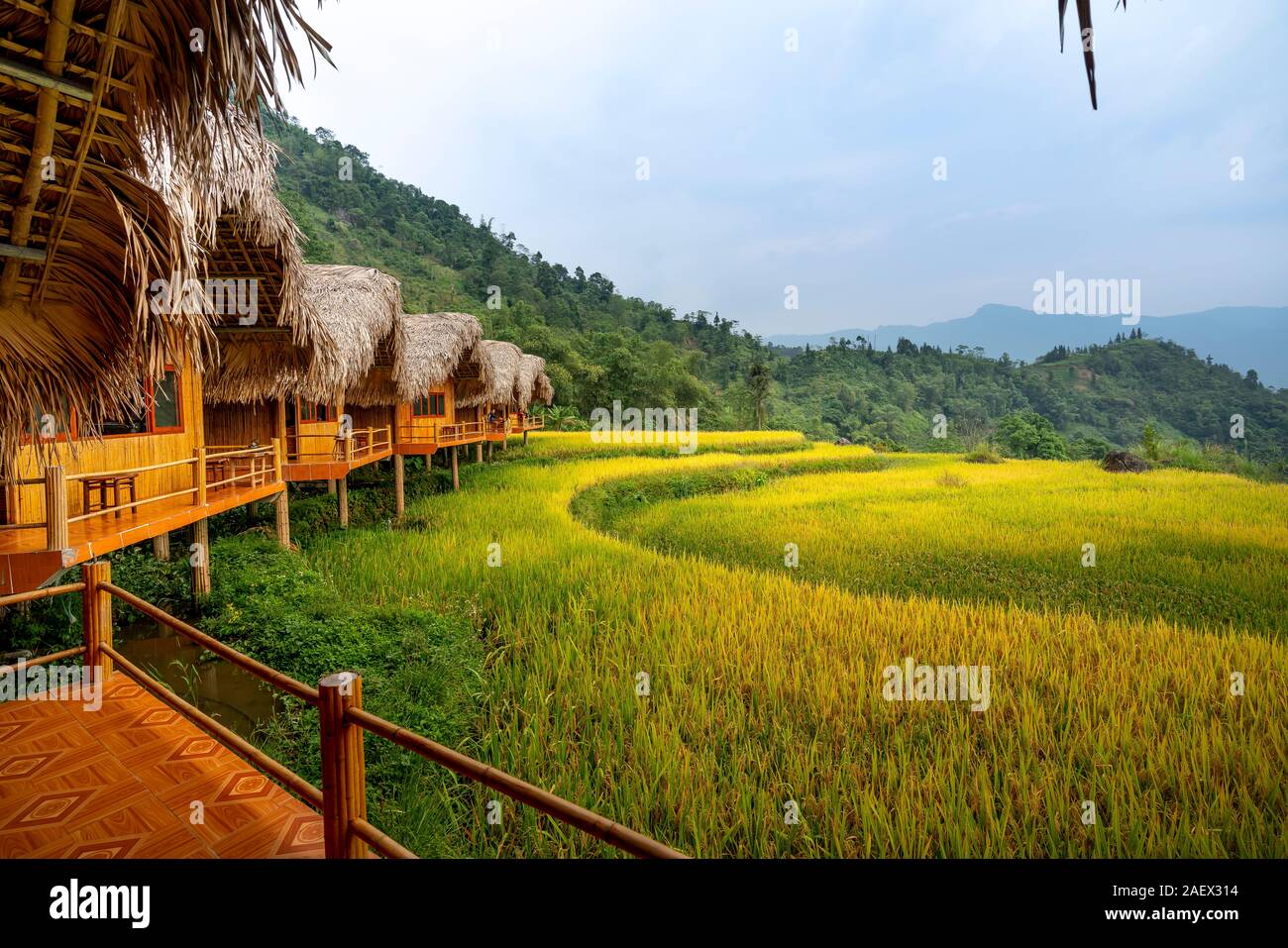 Hoang Su Phi Lodge Resort, Ha Giang Province, Vietnam - September 26, 2019: Wooden bungalows ...