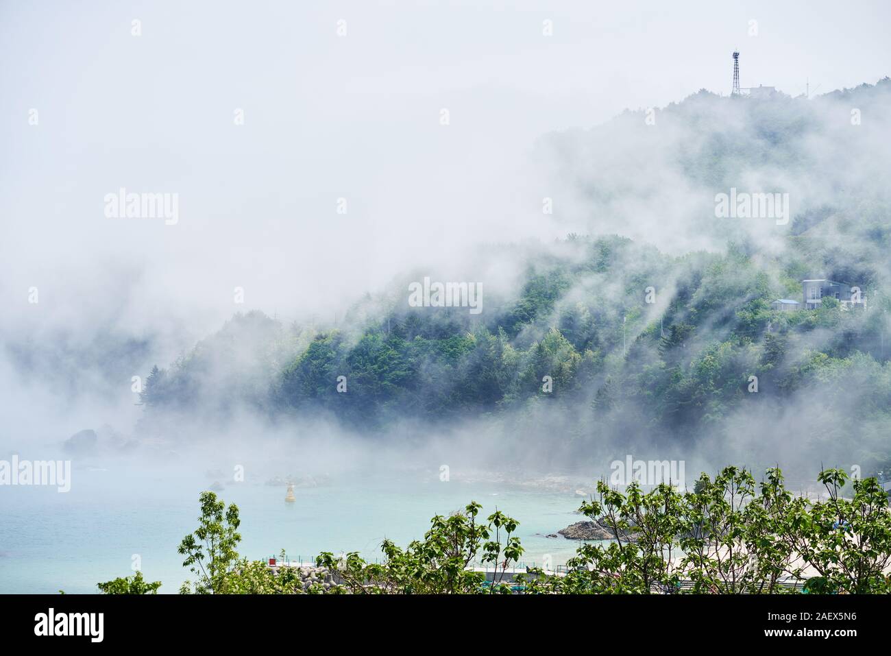 Samcheok coast covered in sea mist at haesindang park Stock Photo - Alamy