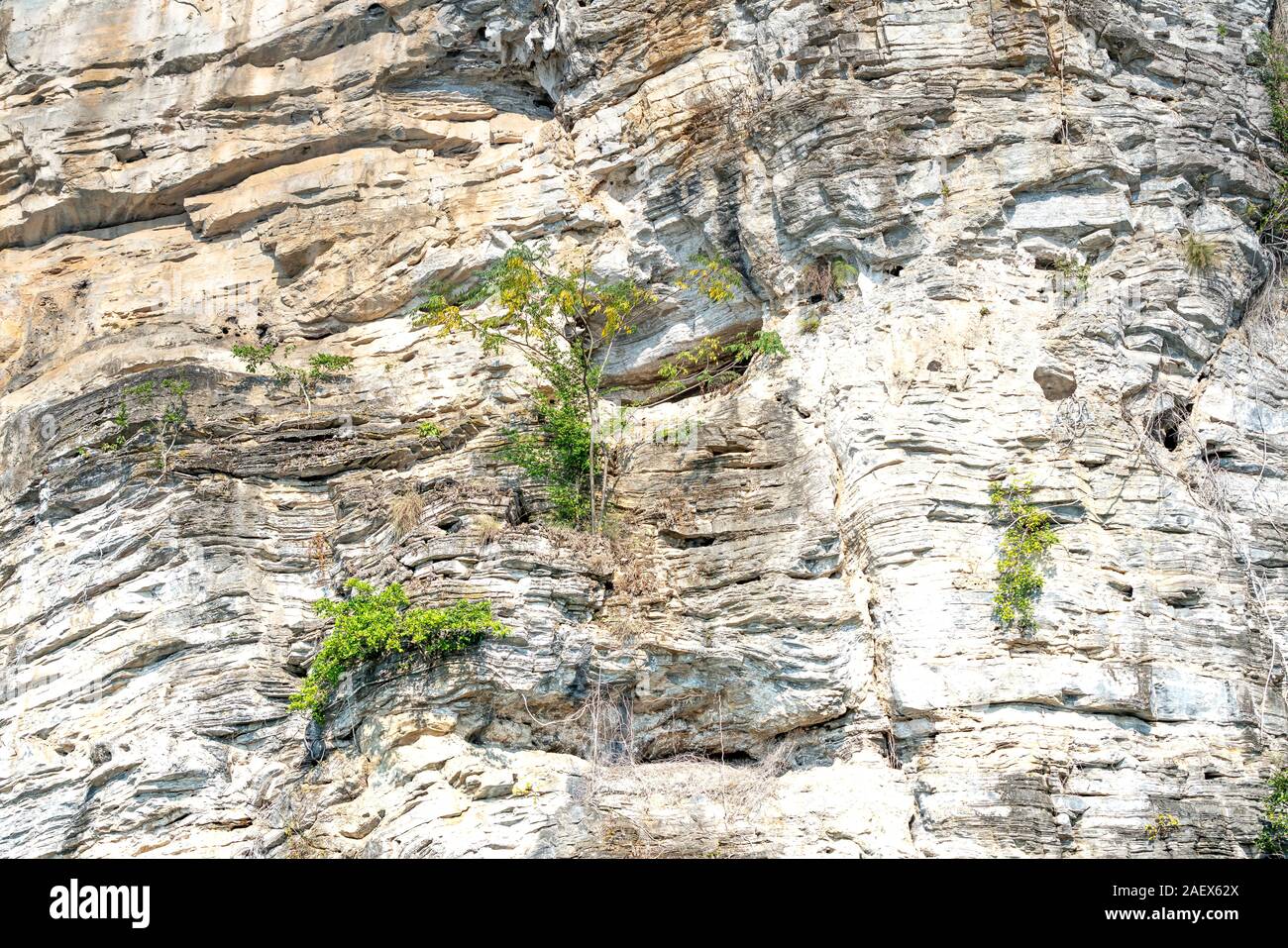 Pictures of geological structure of limestone layer in Na Hang lake in ...