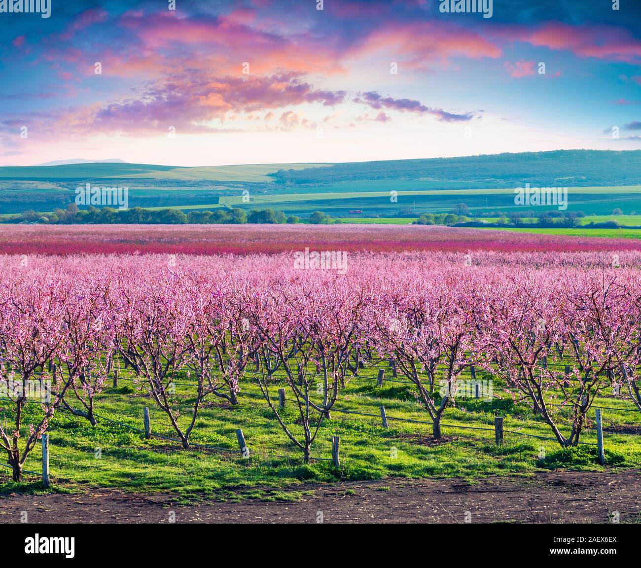 Outdoor scenery hi-res stock photography and images - Alamy