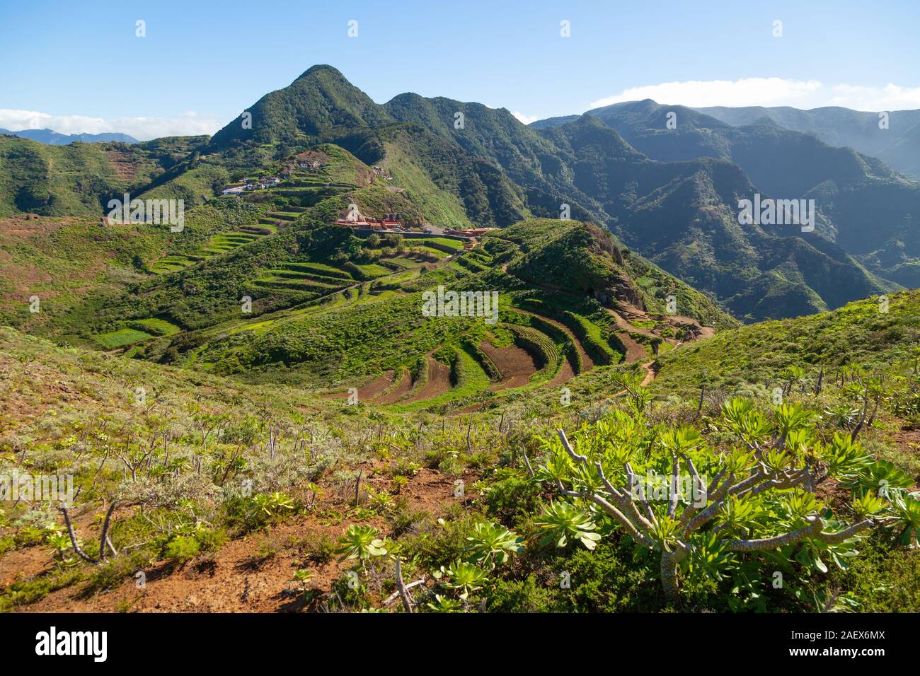 Tenerife anaga mountains hi-res stock photography and images - Alamy