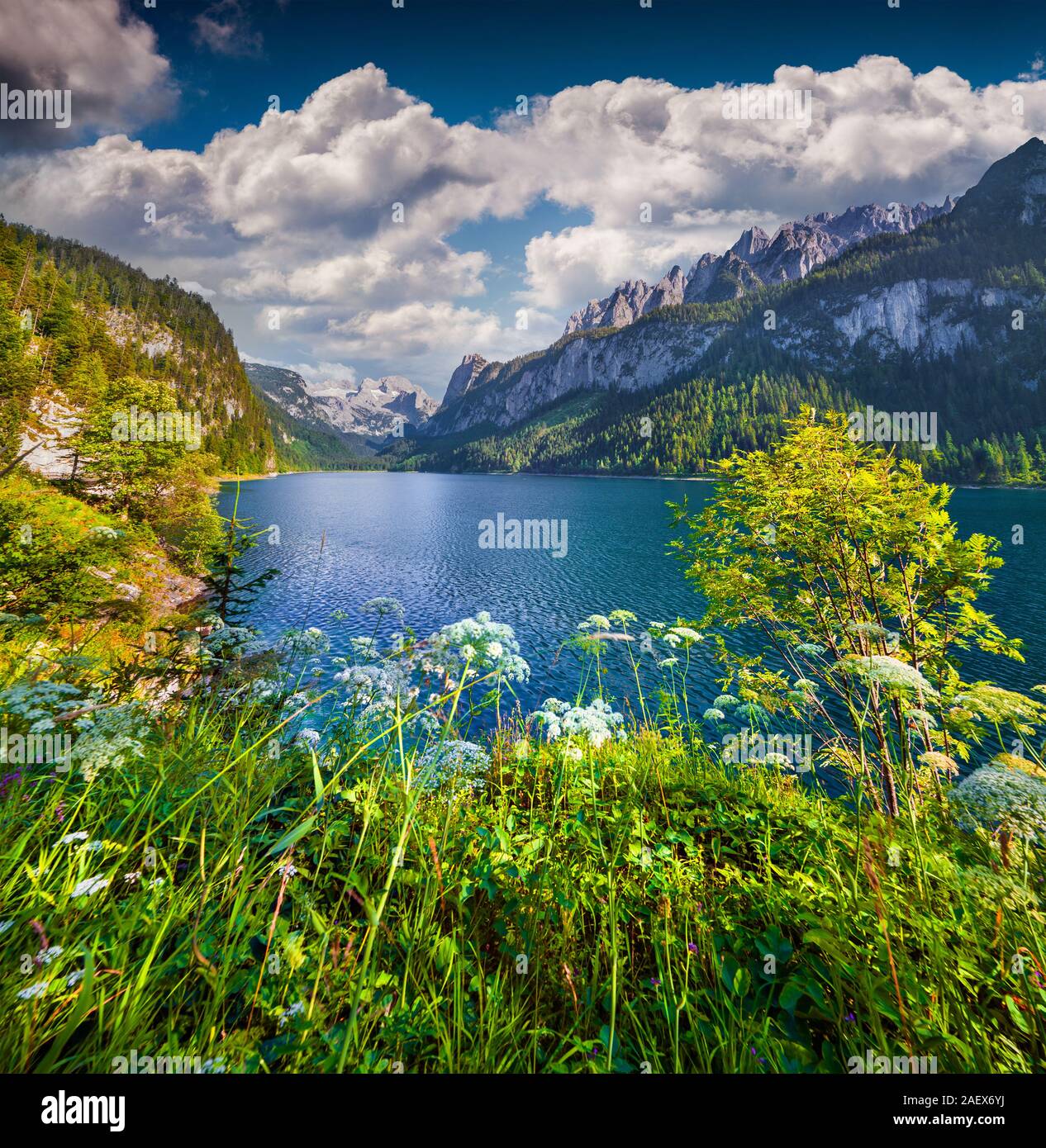 Dachstein spring gosau austria hi-res stock photography and images - Alamy