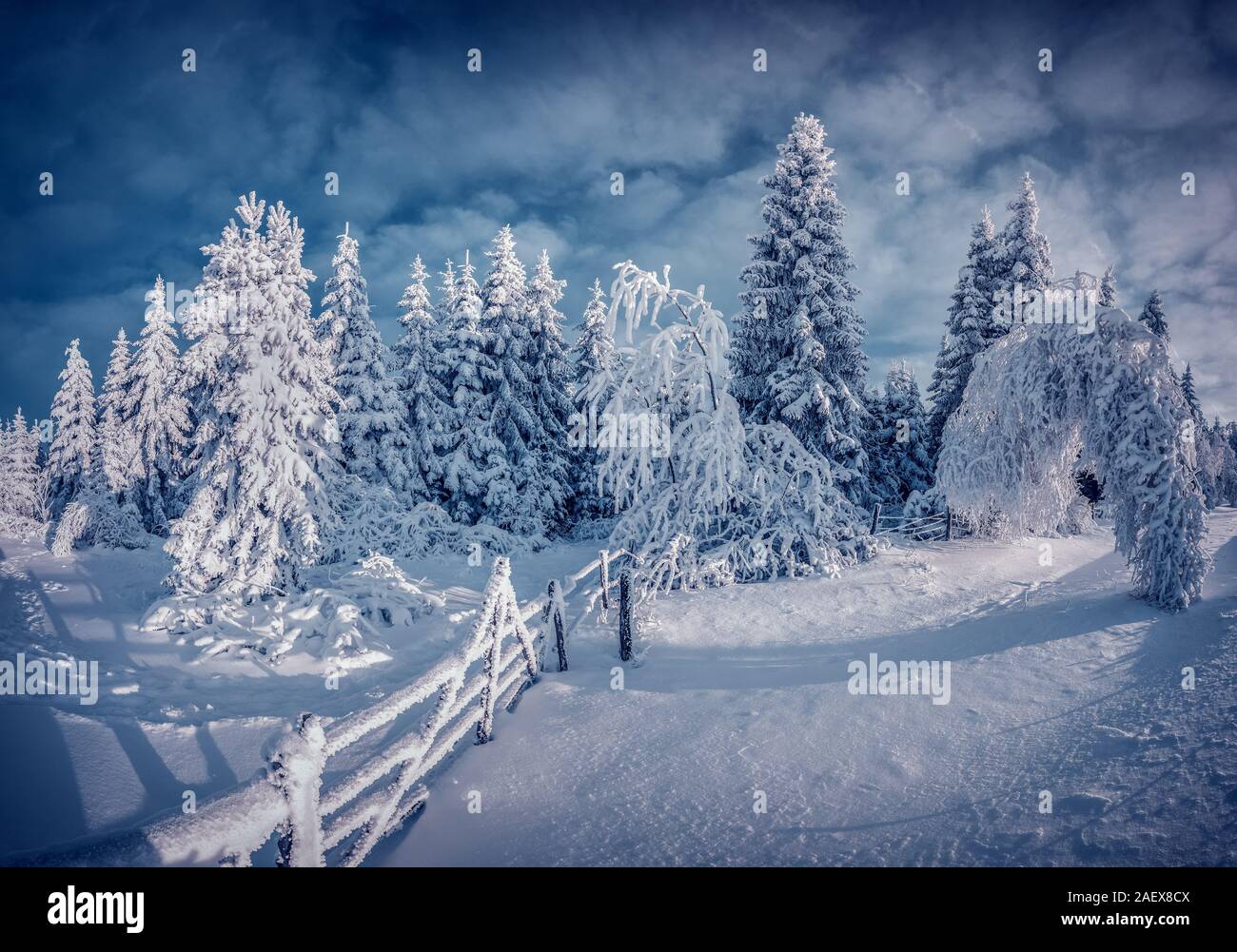 After night heavy snow hi-res stock photography and images - Alamy