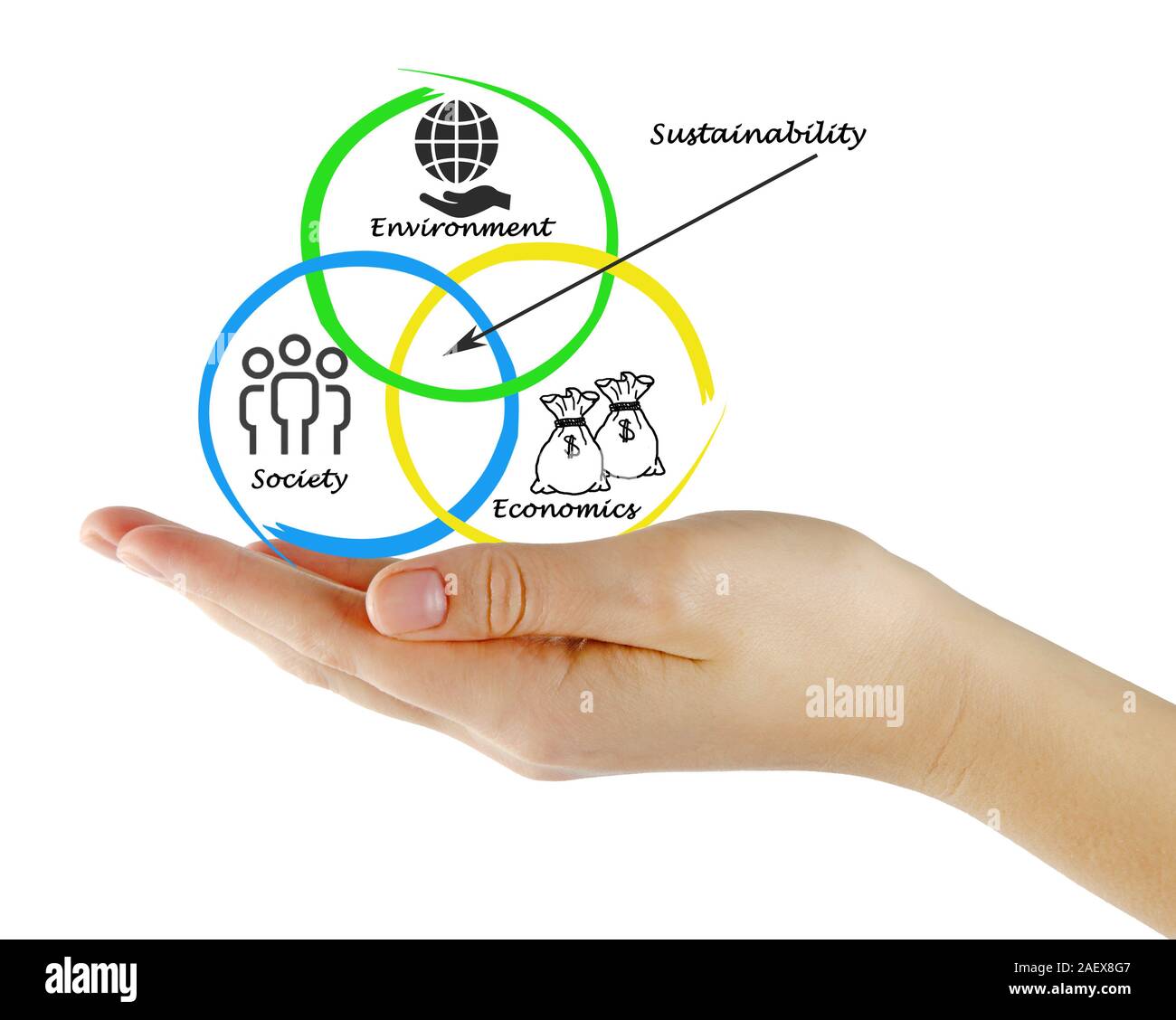 Presentation of diagram of sustainability Stock Photo - Alamy