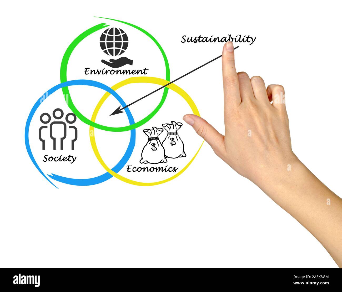 Presentation of diagram of sustainability Stock Photo - Alamy