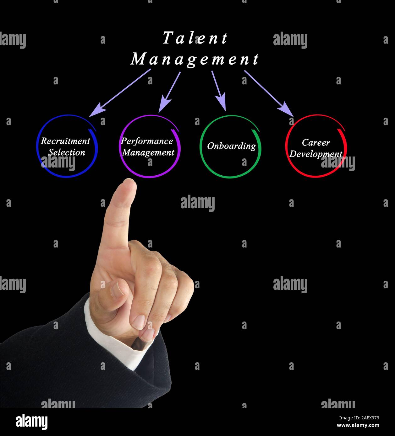 Diagram of Talent Management Stock Photo - Alamy