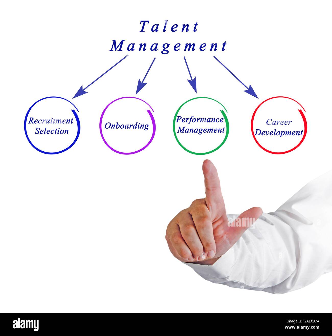 Diagram of Talent Management Stock Photo - Alamy