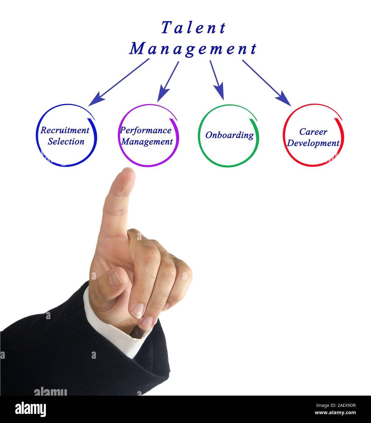 Diagram of Talent Management Stock Photo - Alamy