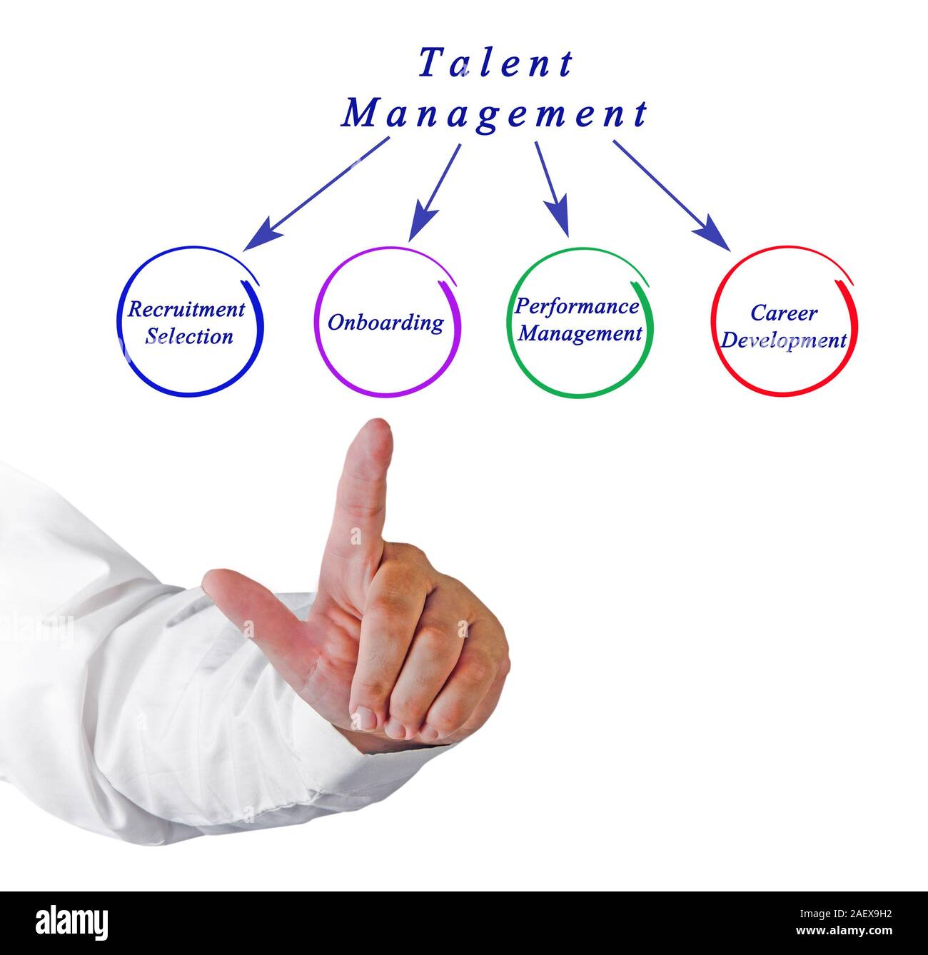 Diagram of Talent Management Stock Photo - Alamy