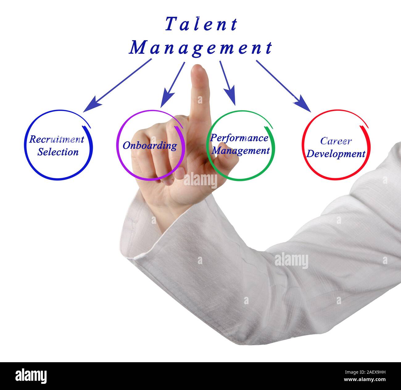 Diagram of Talent Management Stock Photo - Alamy