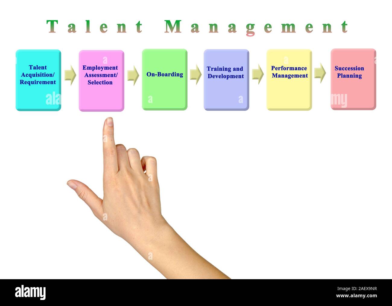Components of Talent Management Stock Photo - Alamy