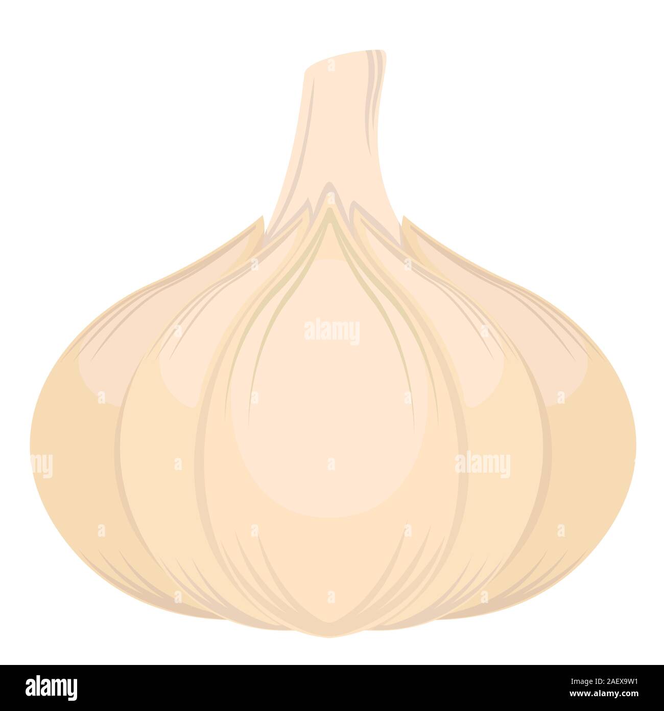 Garlic Stock Vector Images - Alamy