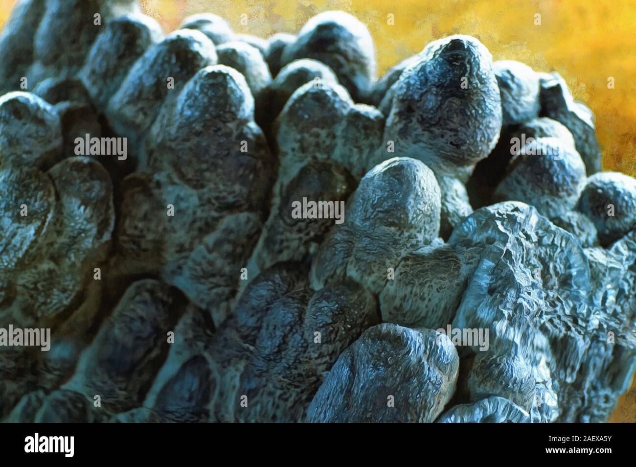 Manganite image hi-res stock photography and images - Alamy