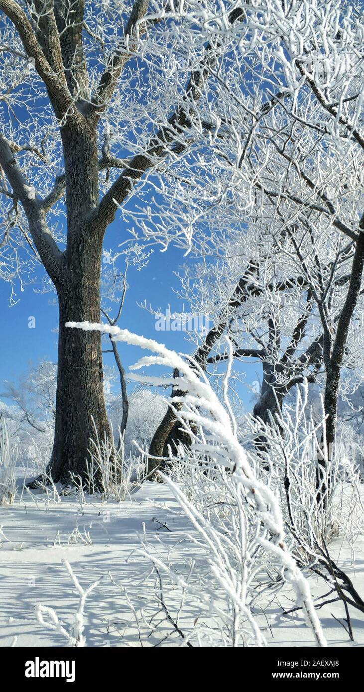 Scenery of frozen rime on trees at Sifangdingzi scenic spot in Tonghua ...