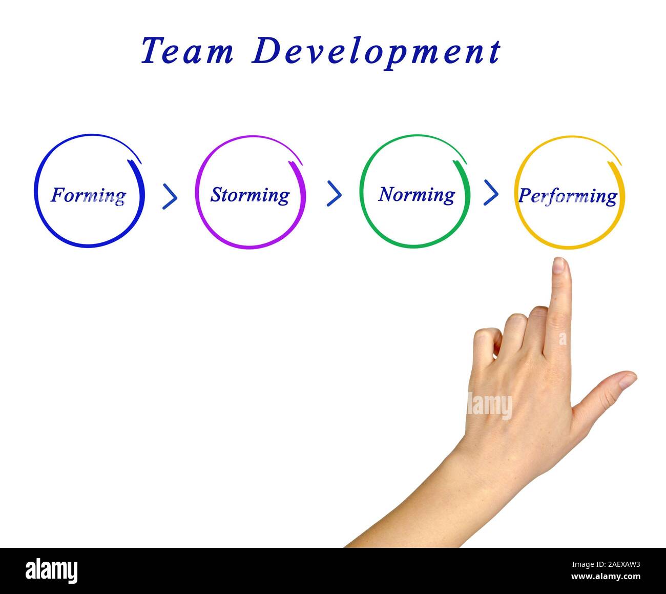 Team development Cut Out Stock Images & Pictures - Alamy
