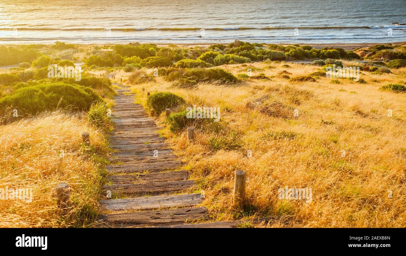 Hallett Cove Beach Path at sunset, South Australia Stock Photo - Alamy