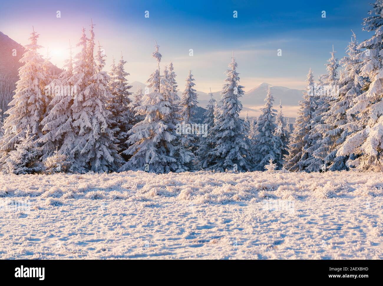 Beautiful winter morning hi-res stock photography and images - Alamy
