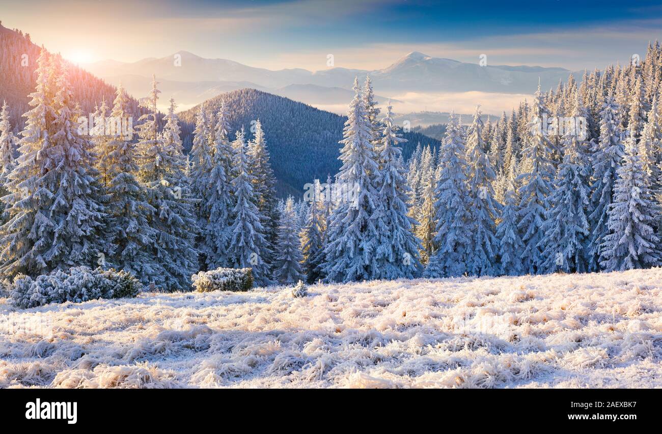Beautiful winter morning hi-res stock photography and images - Alamy
