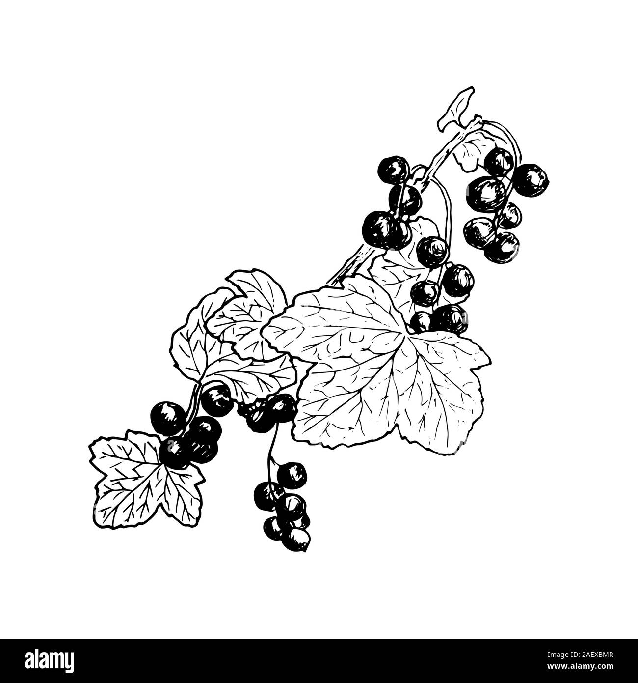 Pen sketch objects Stock Vector Images - Alamy