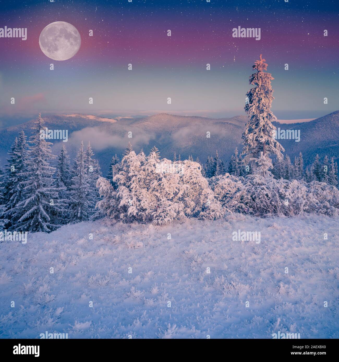 Full moon over spruce forest hi-res stock photography and images - Alamy