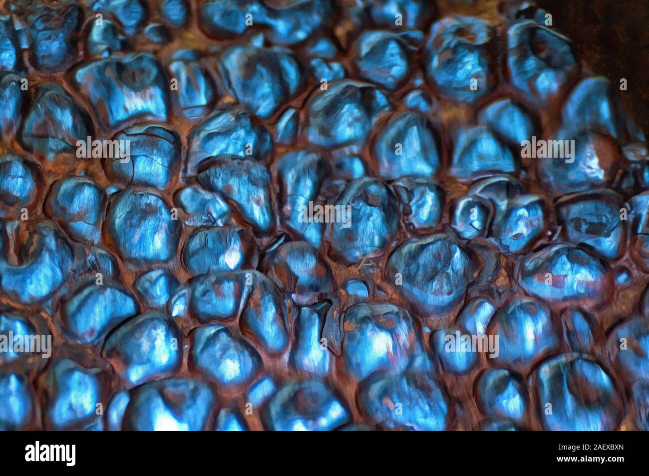 Illustrations Hematite, mineral, iron oxide, hematite group, dimorphic ...