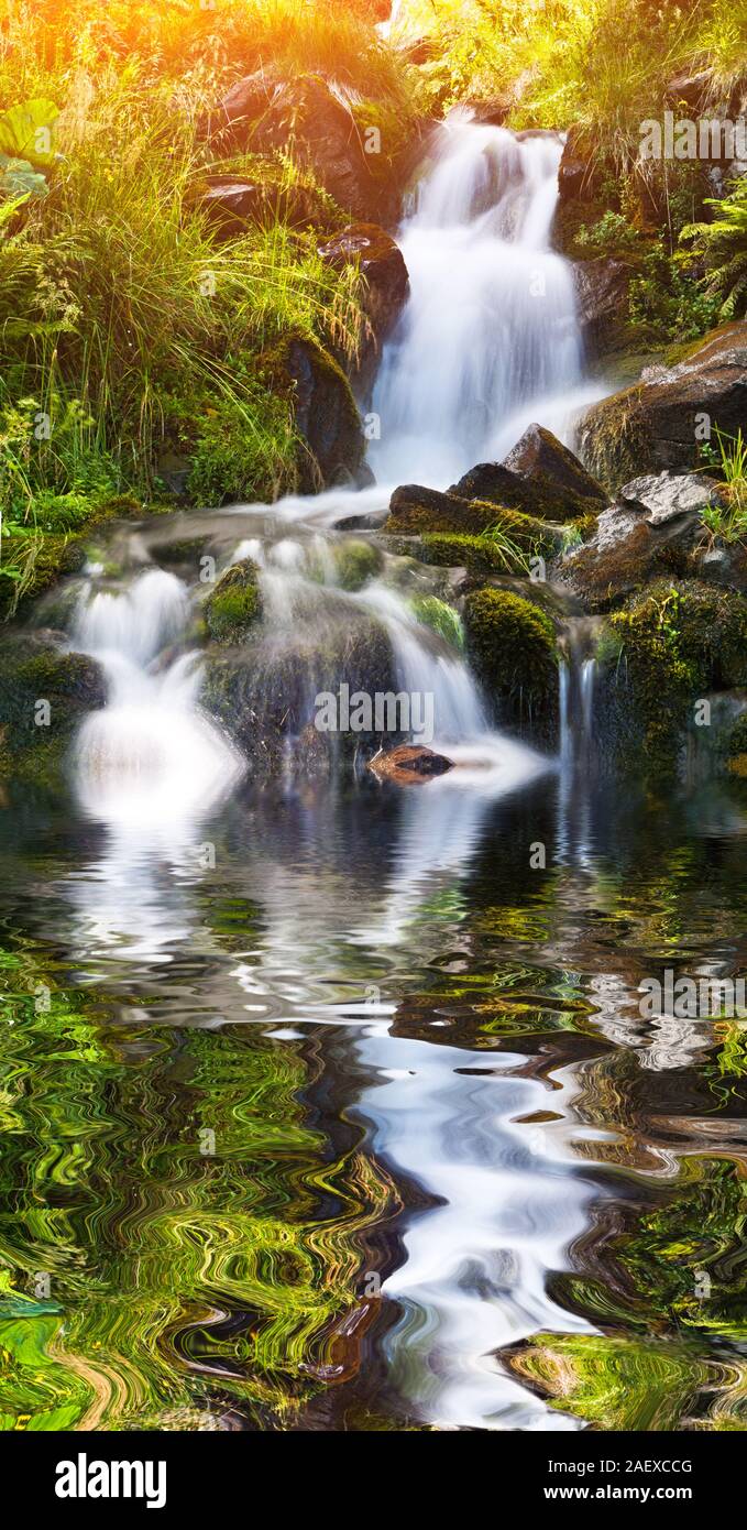 Small natural spring waterfall surrounded by moss and glass reflection ...