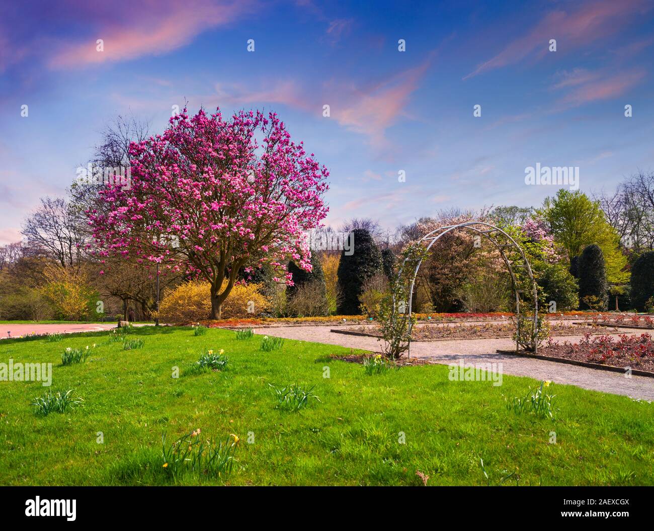 German landscape with tree hi-res stock photography and images - Alamy