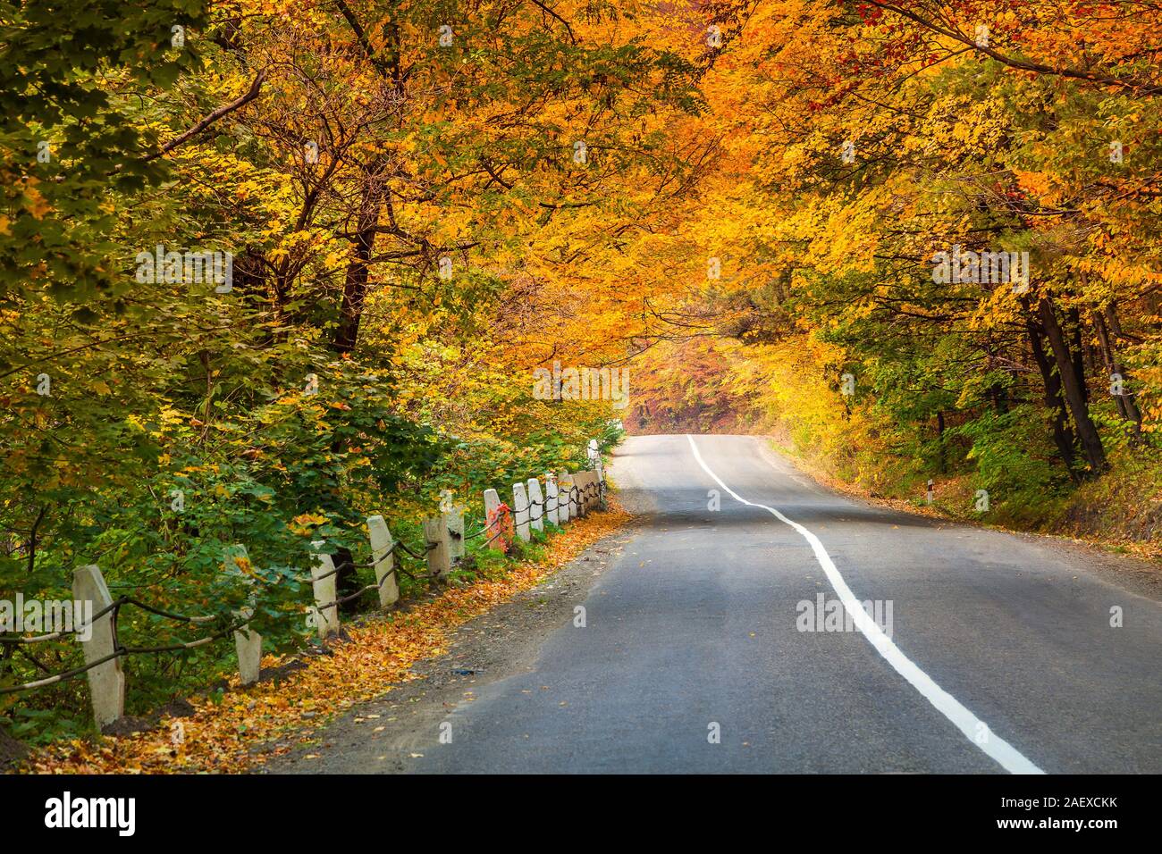 Road trip in autumn day hi-res stock photography and images - Alamy