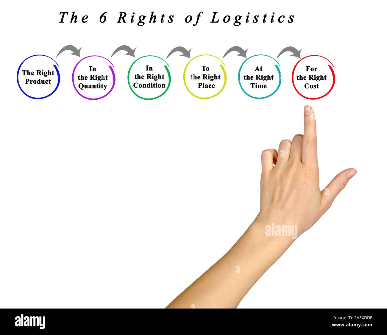 6 Rights of Logistics Stock Photo - Alamy