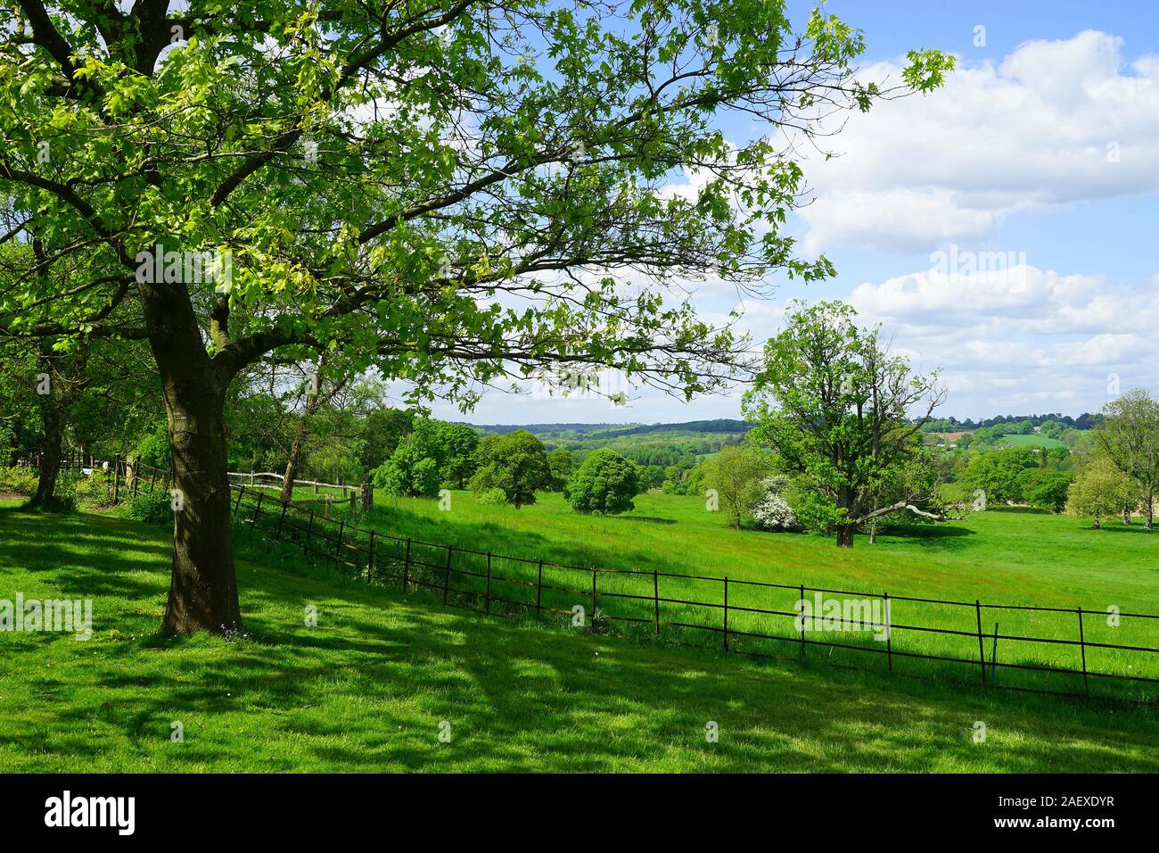 View across the Sussex countryside from Borde Hill Gardens Stock Photo ...