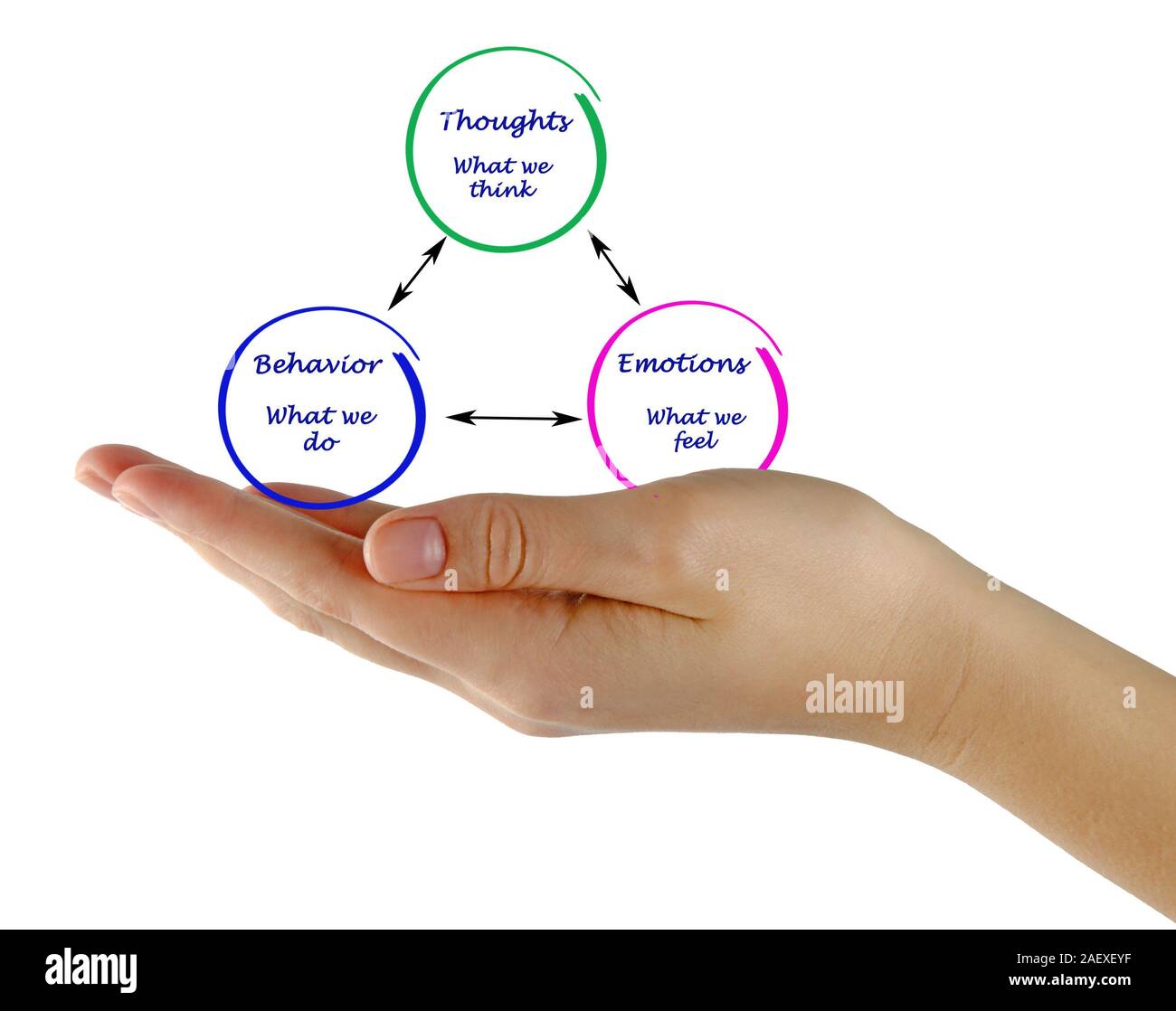 Relationship between cognition, emotions, and behavior Stock Photo - Alamy