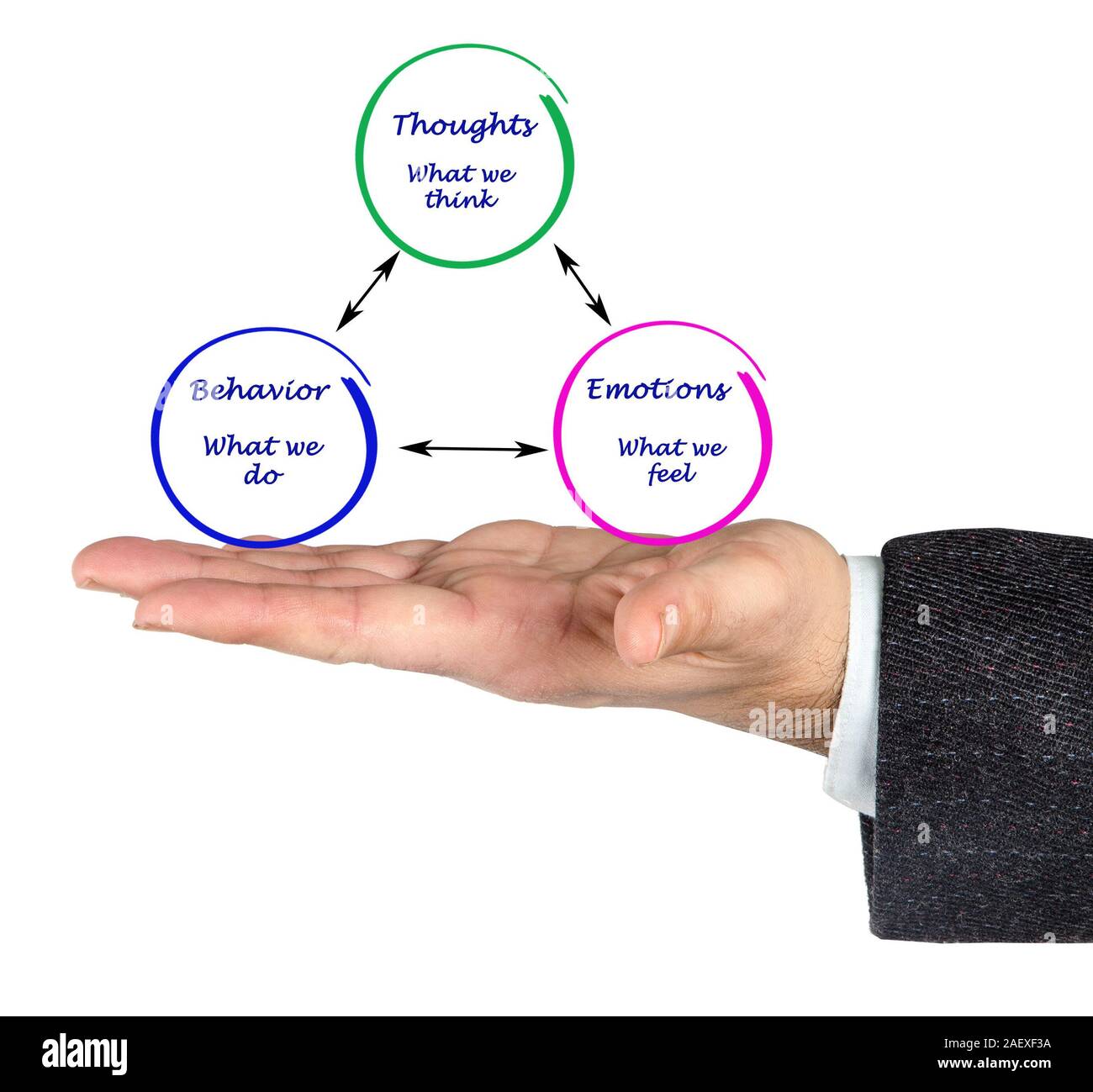 Relationship between cognition, emotions, and behavior Stock Photo - Alamy