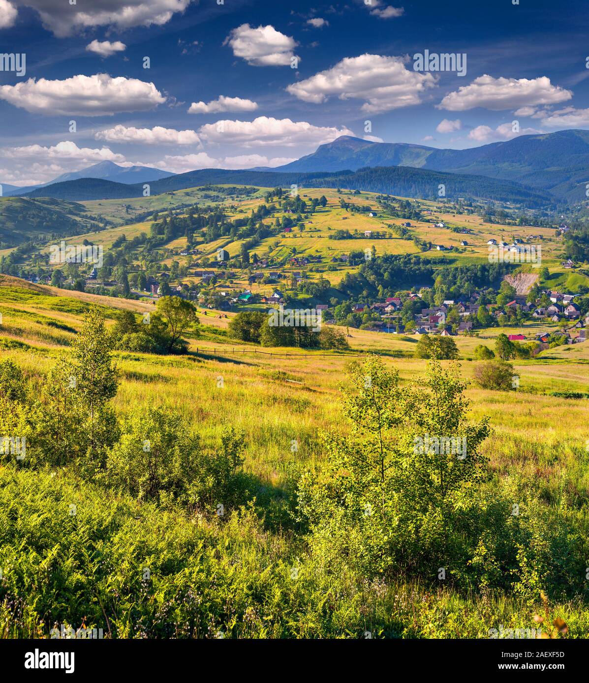 Beautiful summer landscape in hi-res stock photography and images - Alamy