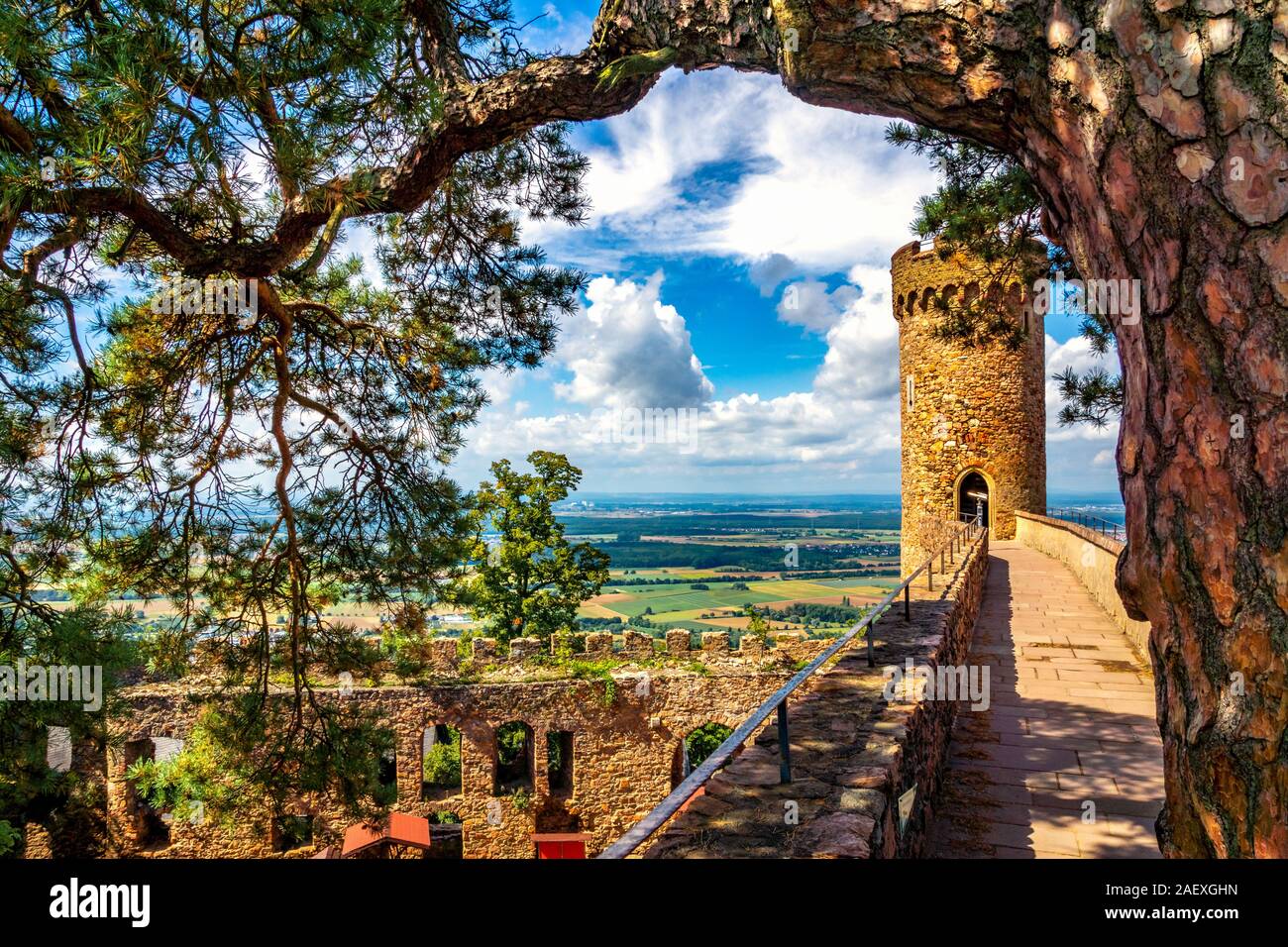 An excursion to the auerbach castle hi-res stock photography and images ...
