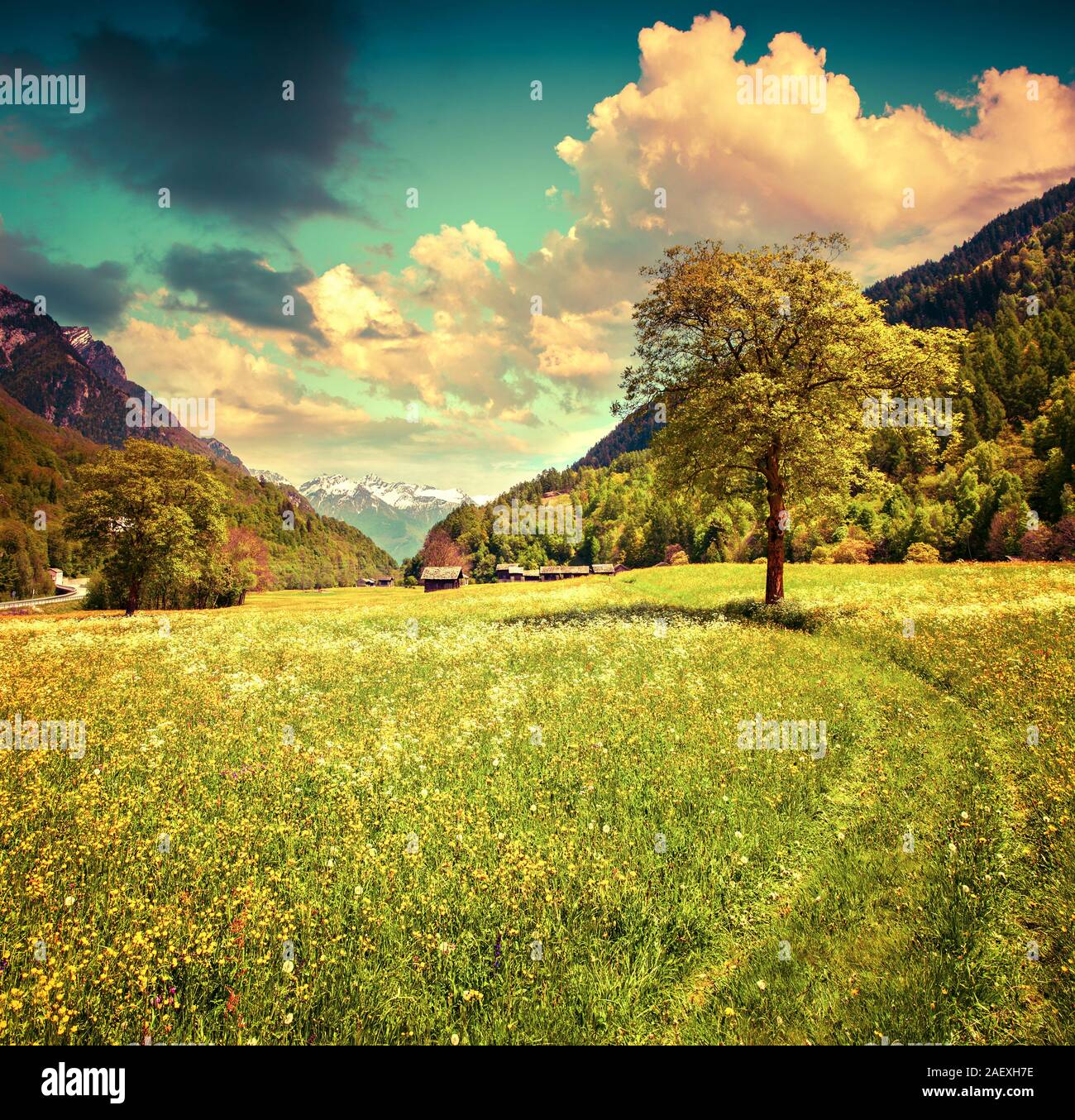 Bondo house hi-res stock photography and images - Alamy