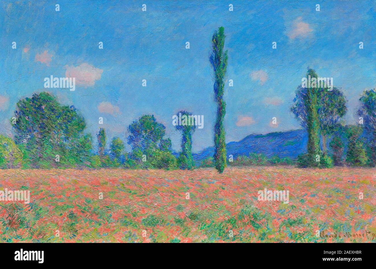 Poppy field at giverny hi-res stock photography and images - Alamy