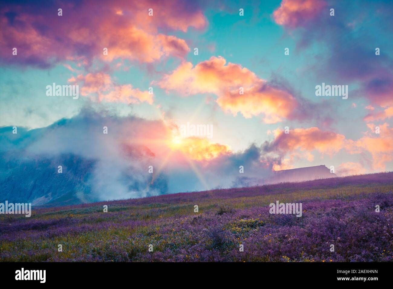 Canazei summer hi-res stock photography and images - Alamy
