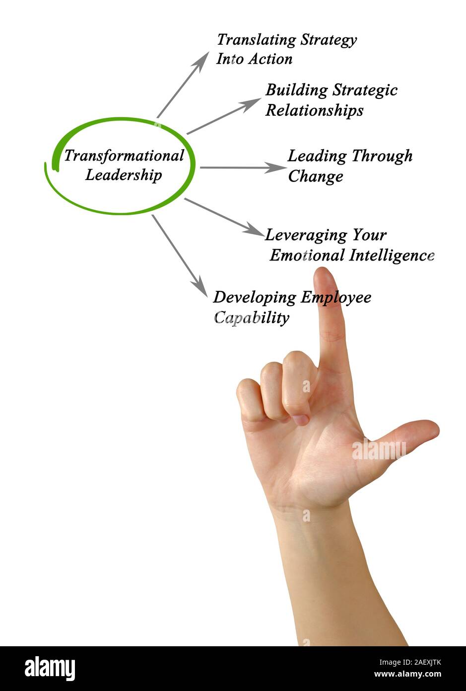 Transformational Leadership High Resolution Stock Photography and ...