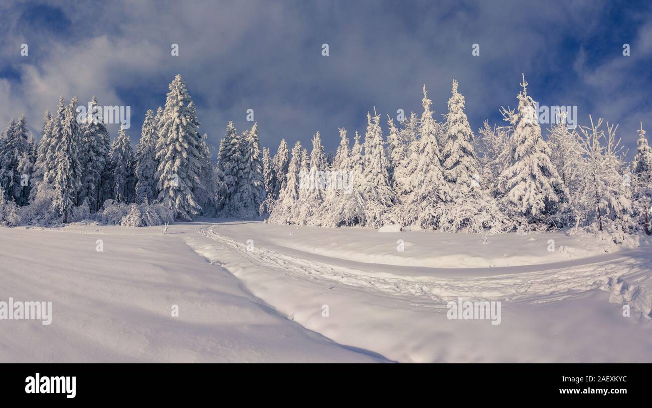 Beautiful winter landscape in the mountain forest Stock Photo - Alamy