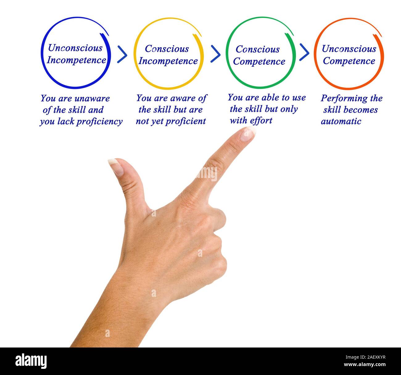 Competence and incompetence Stock Photo - Alamy