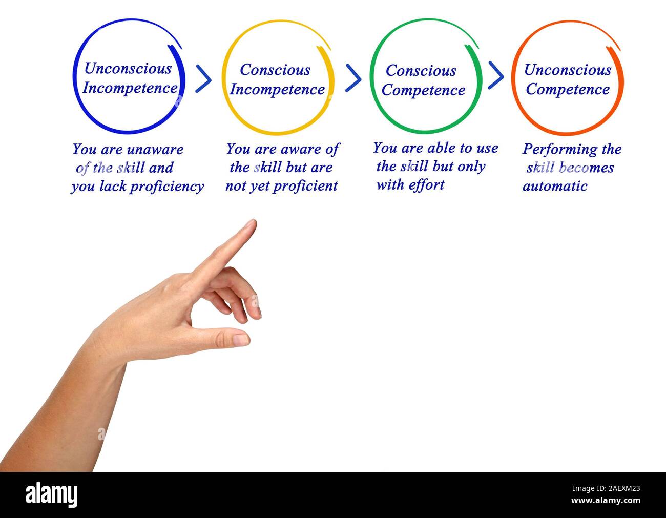 Unconscious and conscious incompetence hi-res stock photography and ...