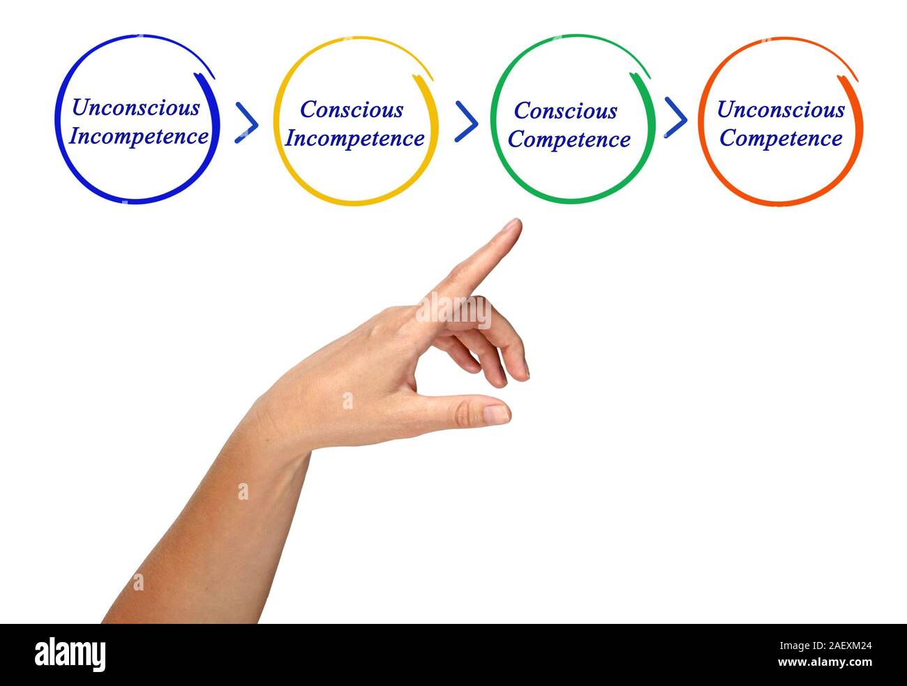 Competence and incompetence Stock Photo - Alamy