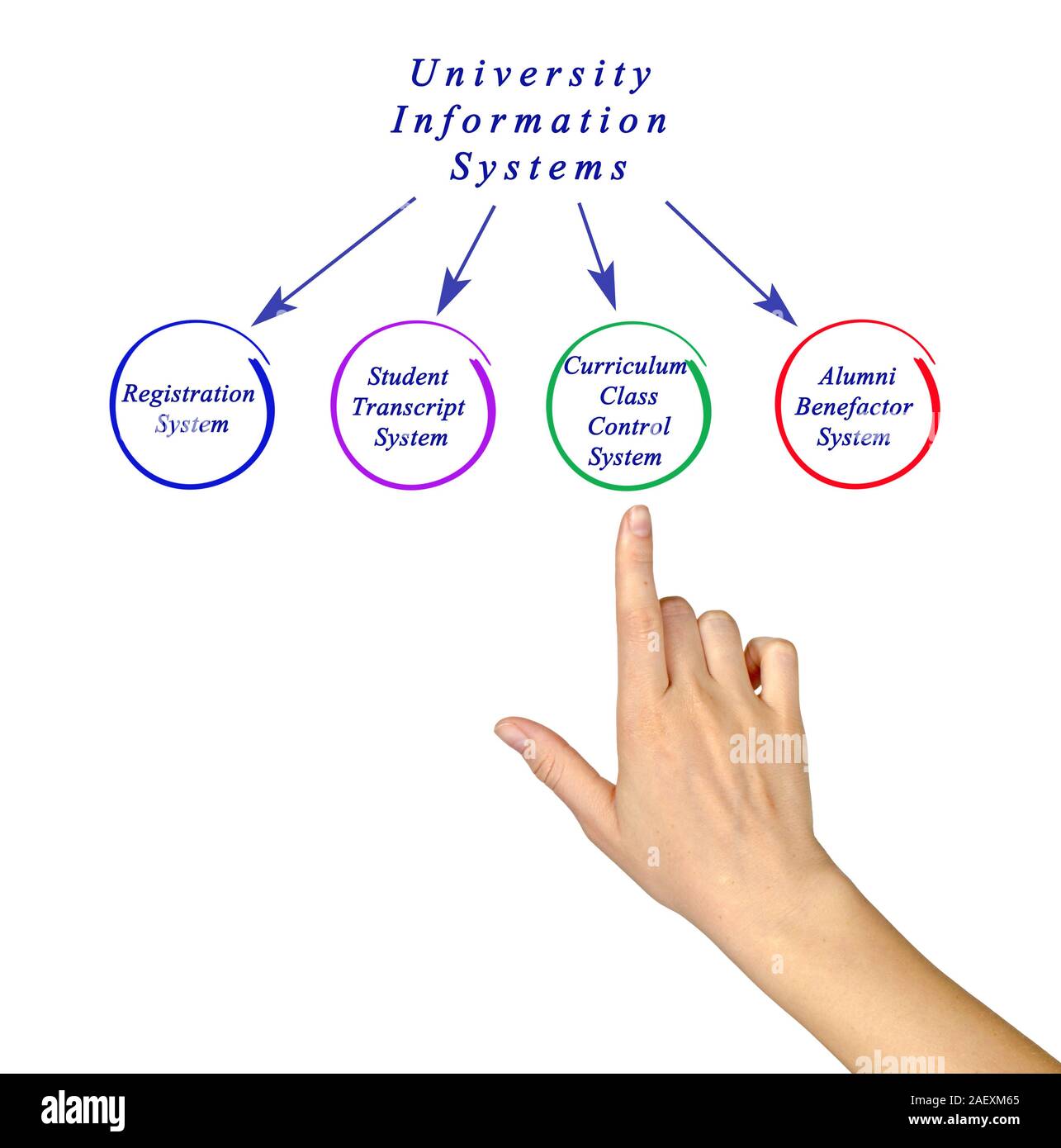 Curriculum management system hi-res stock photography and images - Alamy