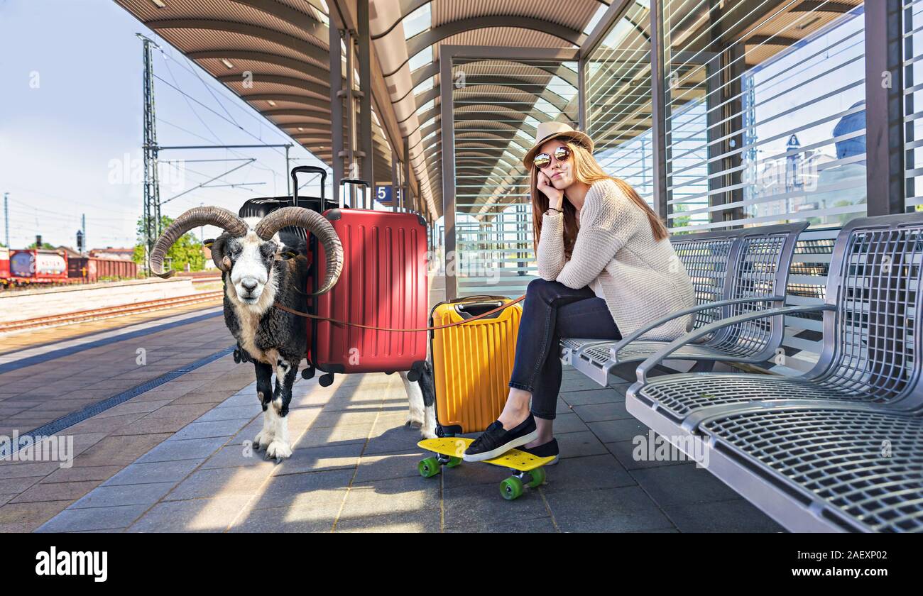 Ram picture hi-res stock photography and images - Alamy