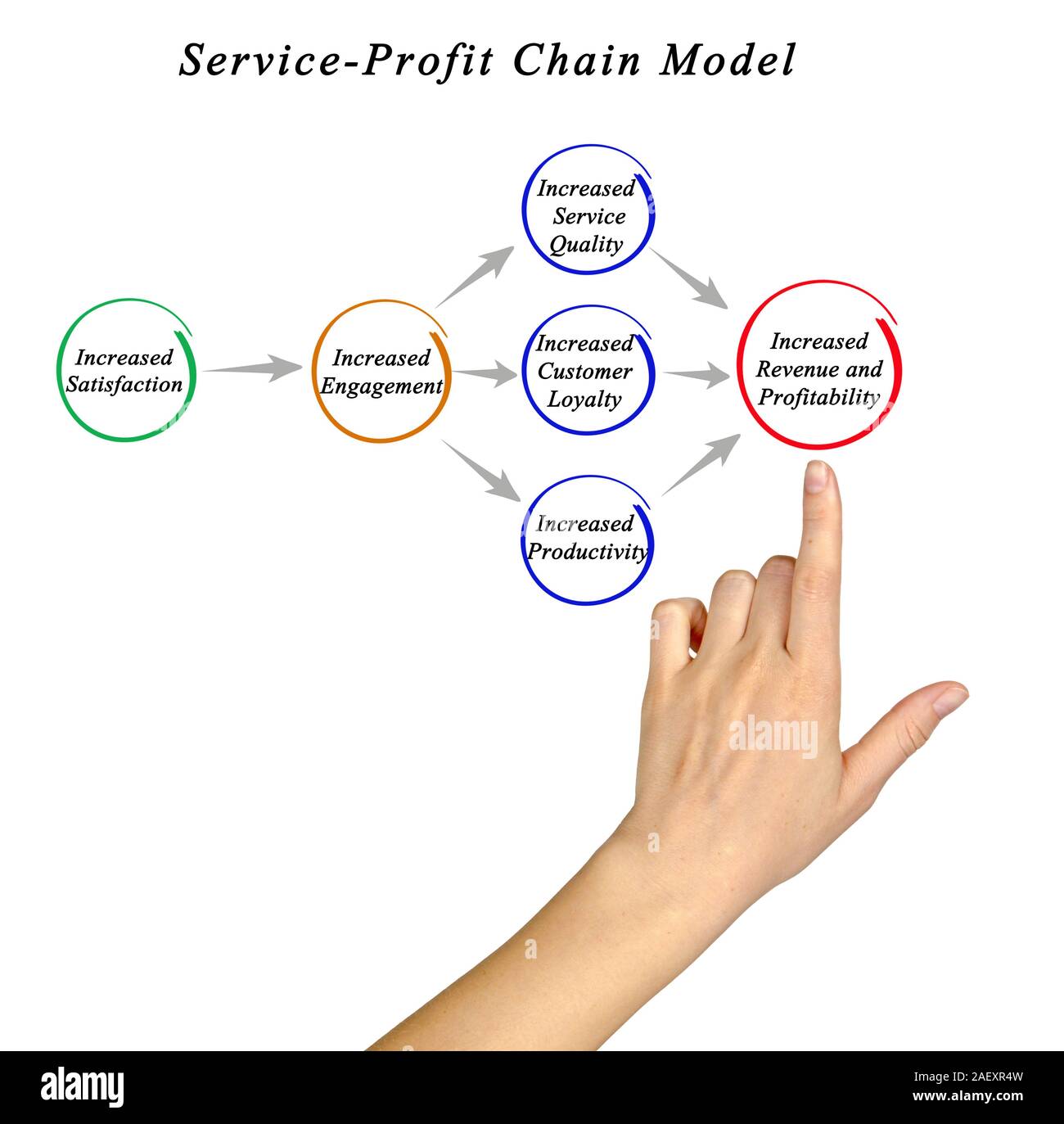 Service-Profit Chain Model Stock Photo - Alamy