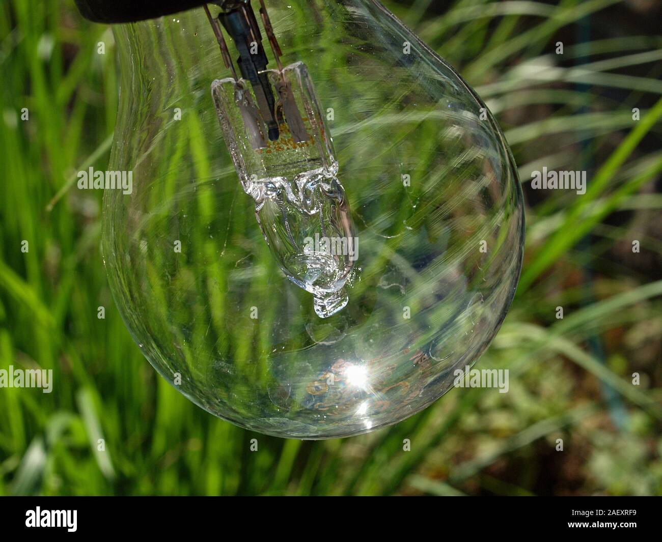 Single light bulb outside in front of grass Stock Photo - Alamy